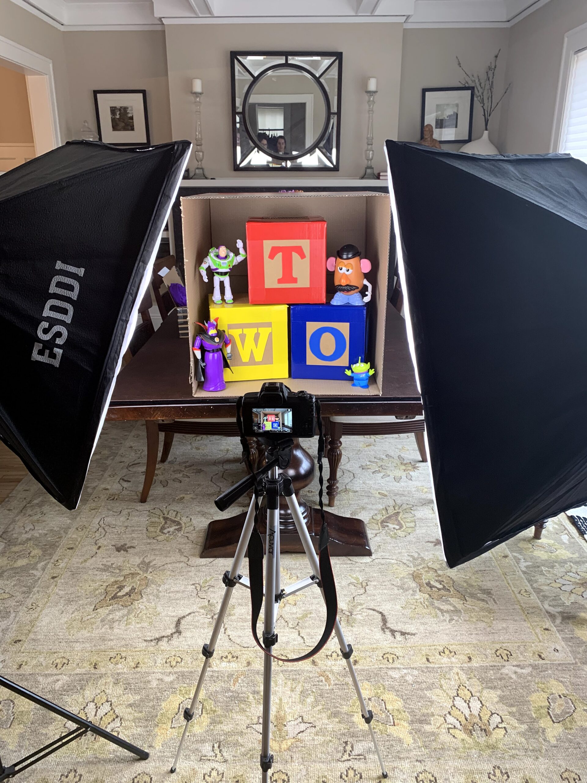 How to create this fun Toy story birthday box photoshoot