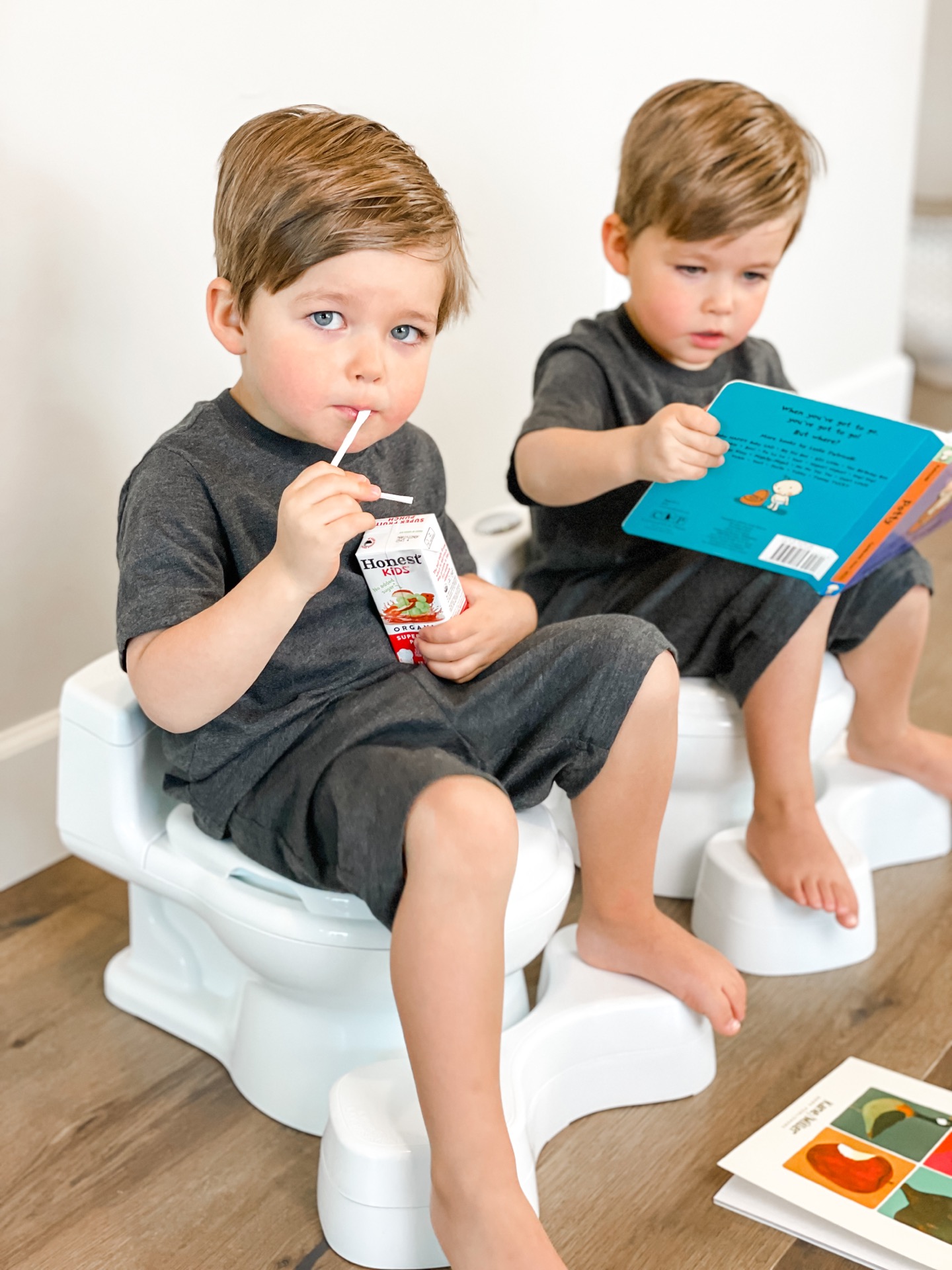 The best potty training seat for toddlers - Coco's Caravan