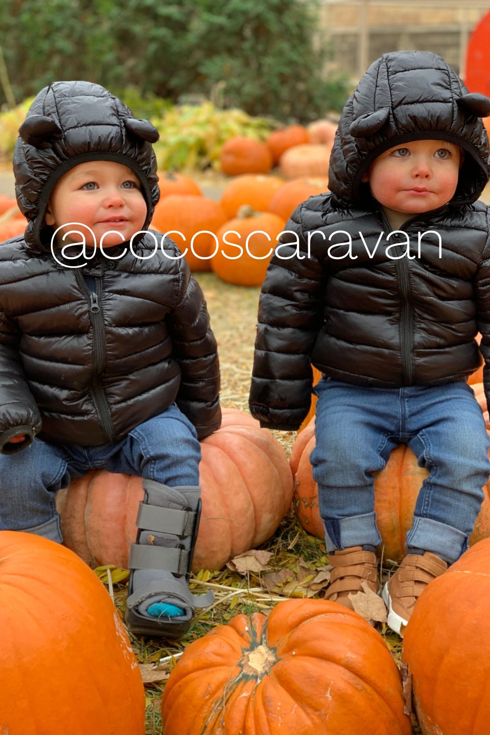 7 of the best fall picture ideas for kids - Coco's Caravan