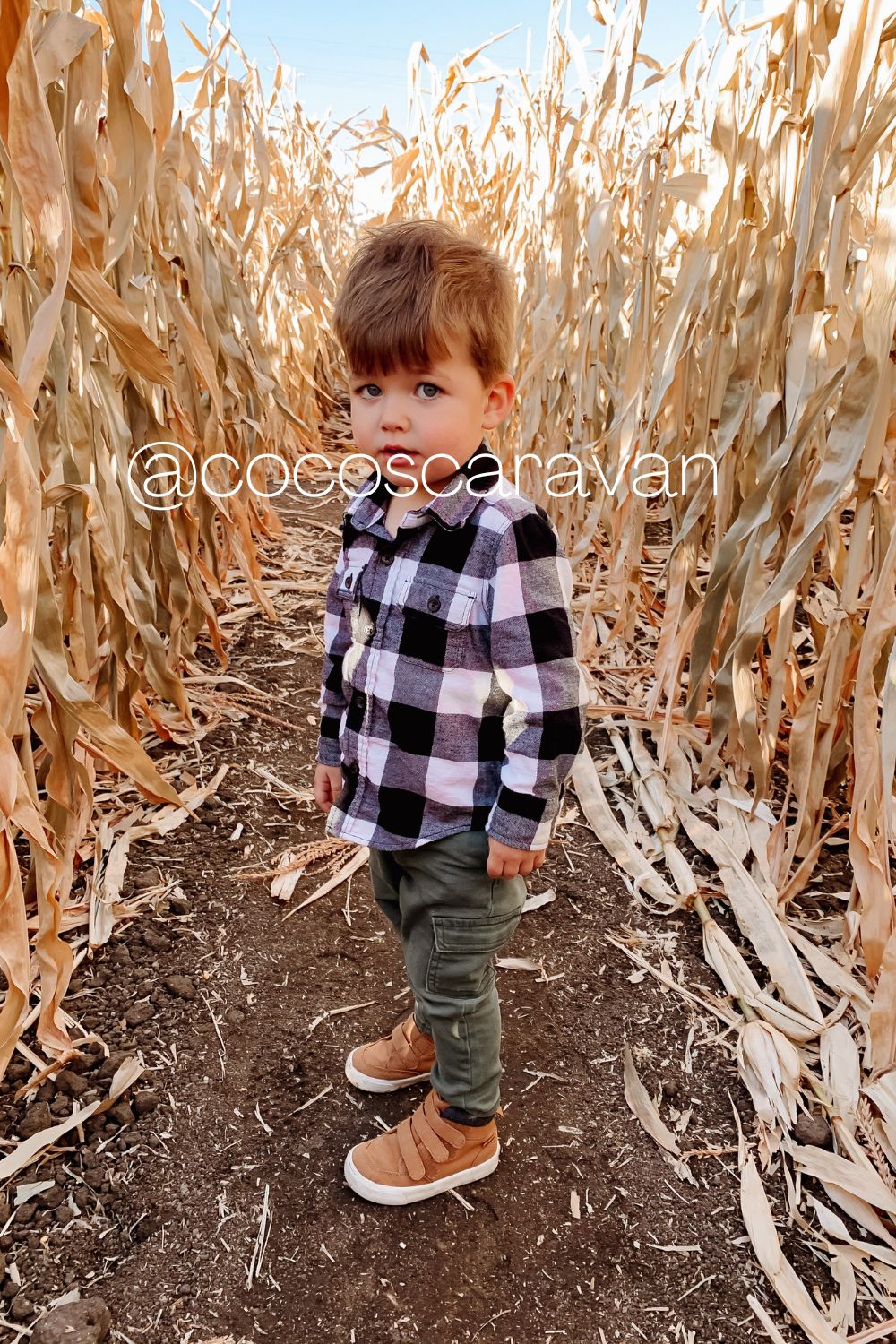 7 of the best fall picture ideas for kids - Coco's Caravan