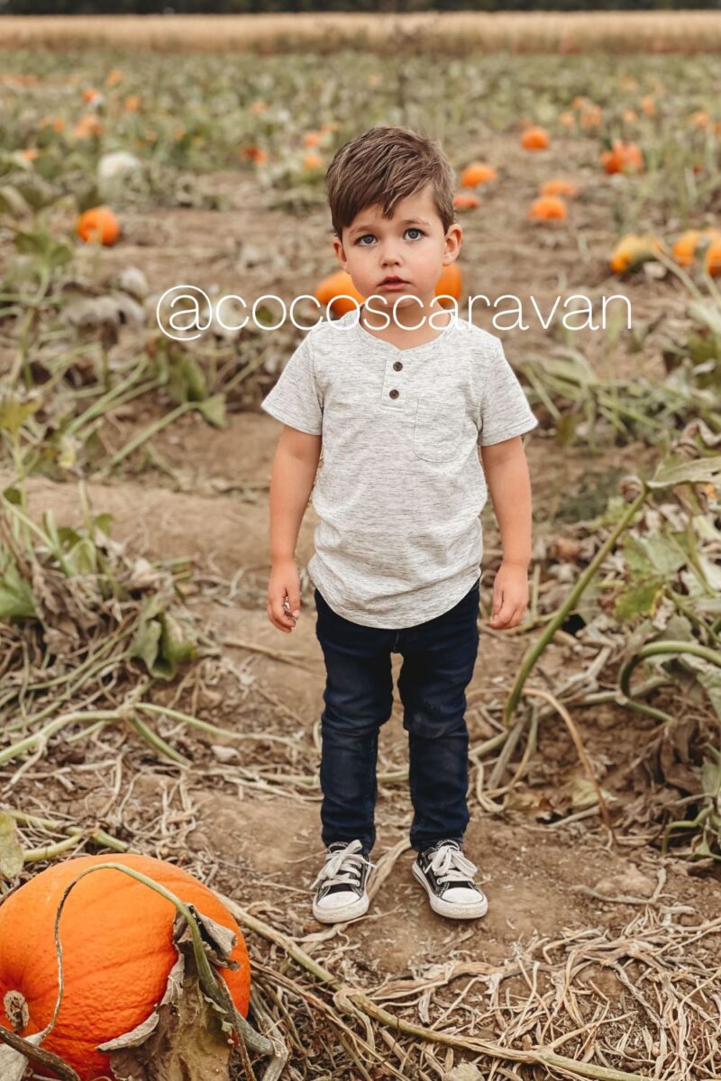 7 of the best fall picture ideas for kids - Coco's Caravan