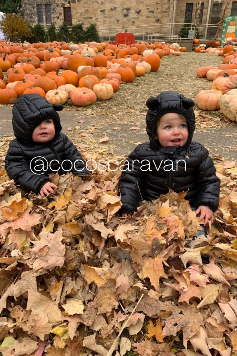 7 of the best fall picture ideas for kids - Coco's Caravan