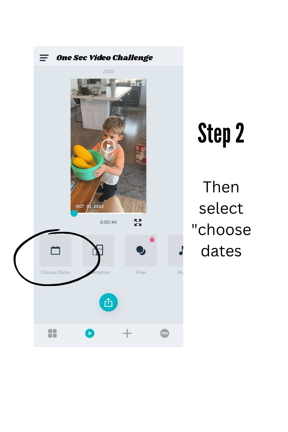 1 Second Everyday: Video Diary - Coco's Caravan