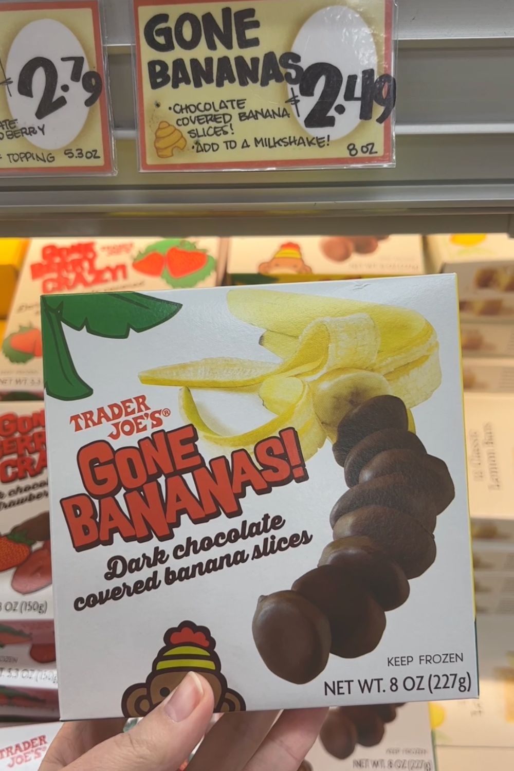 The best Trader Joe's Kid Snacks - Coco's Caravan